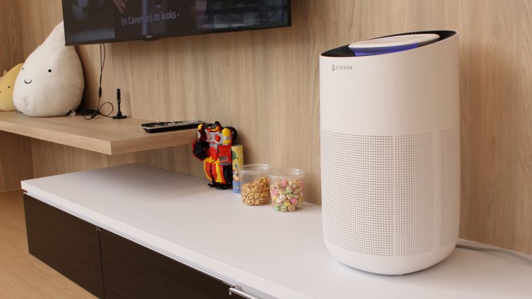 8 Best Air Purifiers in Singapore [2024]