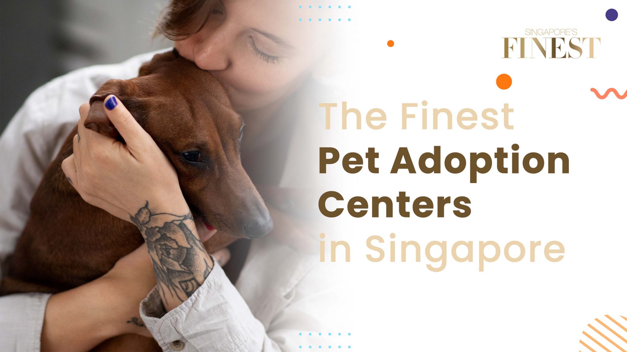10 Trustworthy Pet Adoption Centers in Singapore [2025]