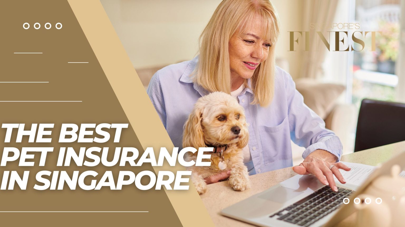 6 Trustworthy Pet Insurance in Singapore [2025]