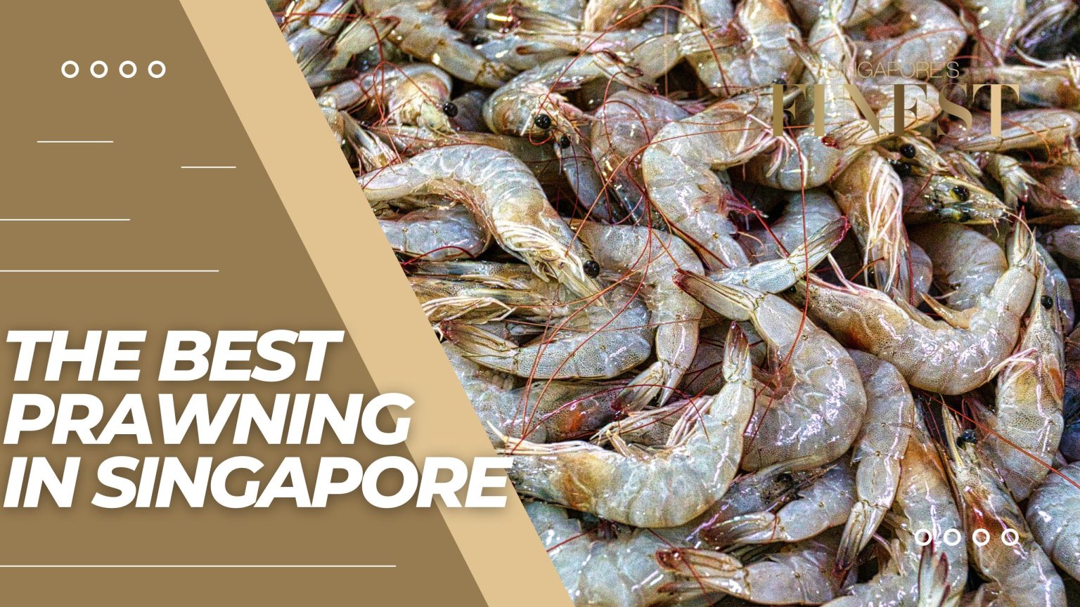 7 Best Prawning in Singapore [2024]