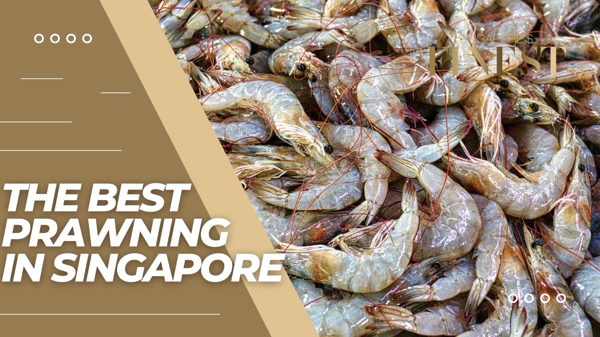 7 Best Prawning in Singapore [2024]