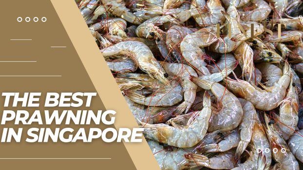 7 Best Prawning in Singapore [2024]