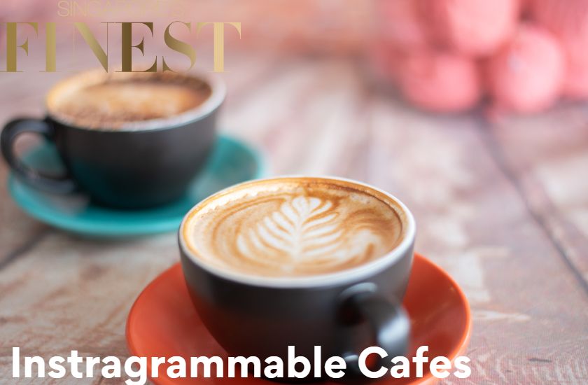 10 Best Instagrammable Cafes in Singapore [2023]