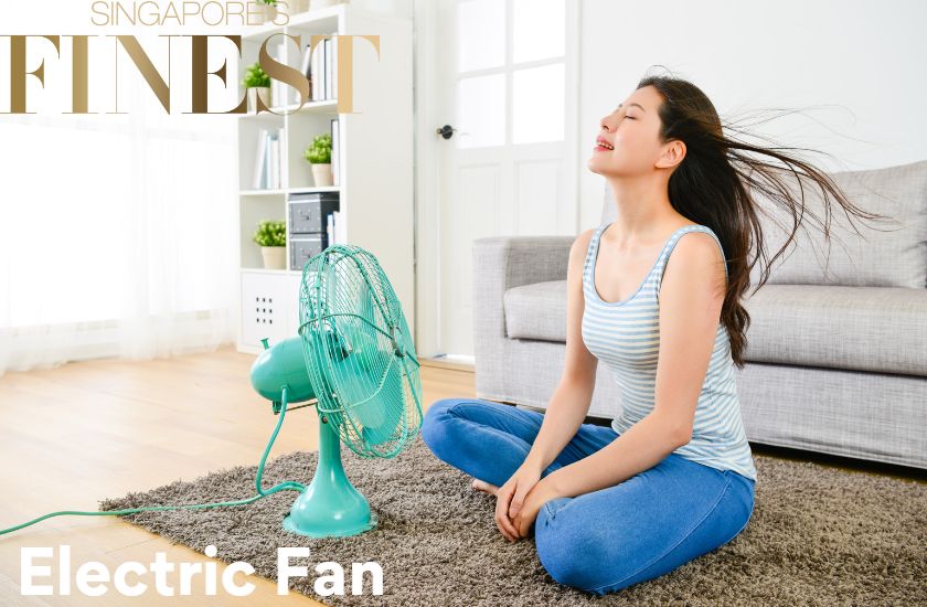 10 Best Electric Fans in Singapore [2023]