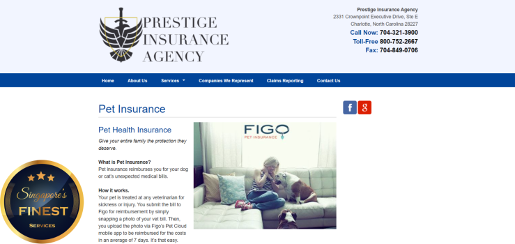 6 Trustworthy Pet Insurance in Singapore [2026]