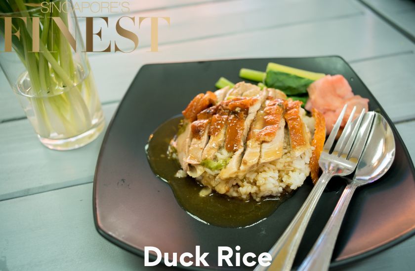 8 Trustworthy Braised Duck Rice in Singapore [2024]