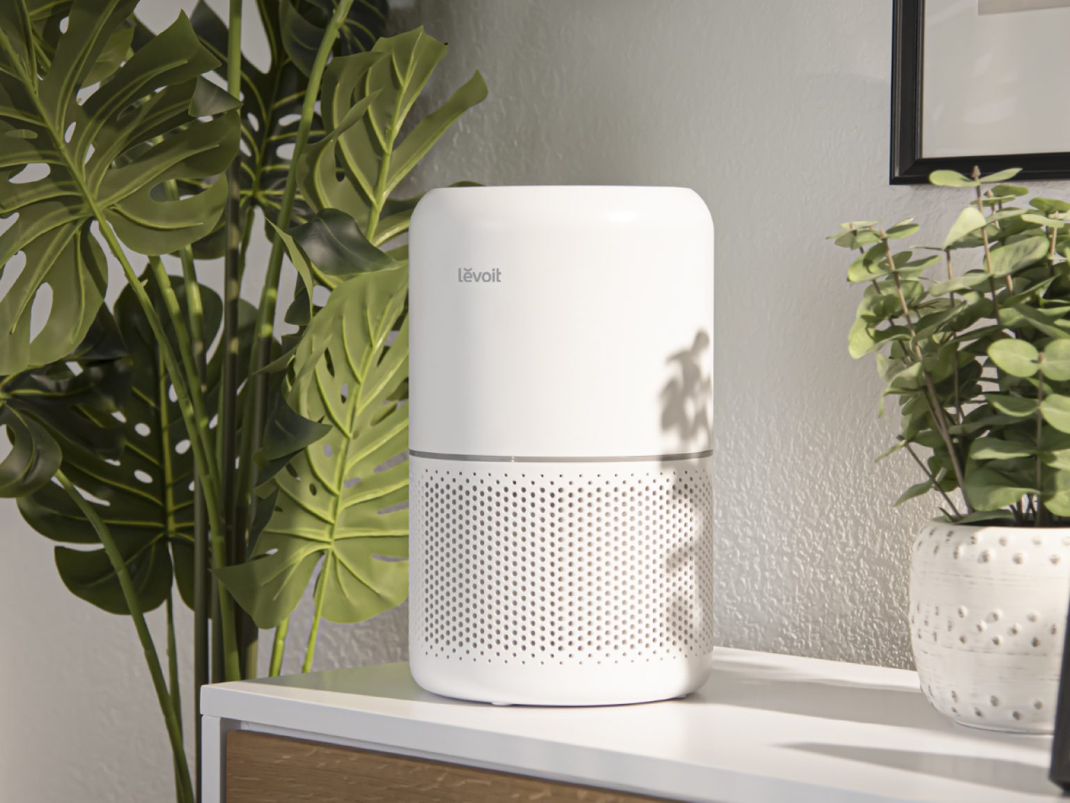 8 Best Air Purifiers in Singapore [2024]
