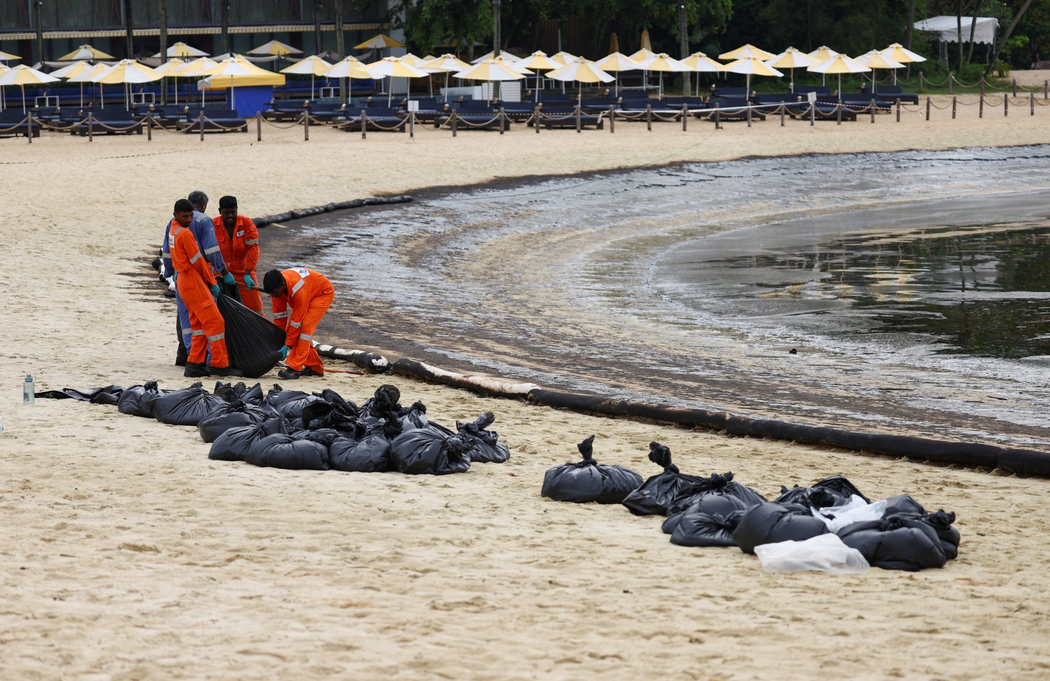 Oil Spill Clean-Up Resumes at Sentosa and East Coast Park [2024]